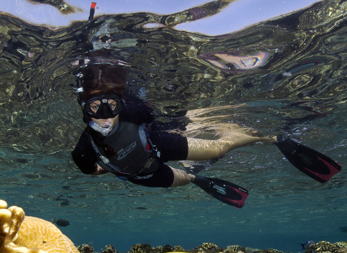 Snorkeling – oneocean dive resort